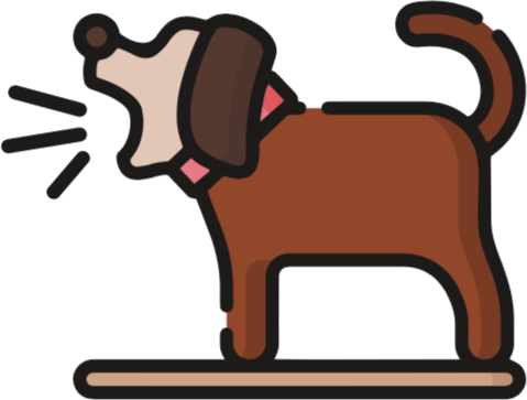 CBD For Pets - Live Rite Cbd Products by NCW